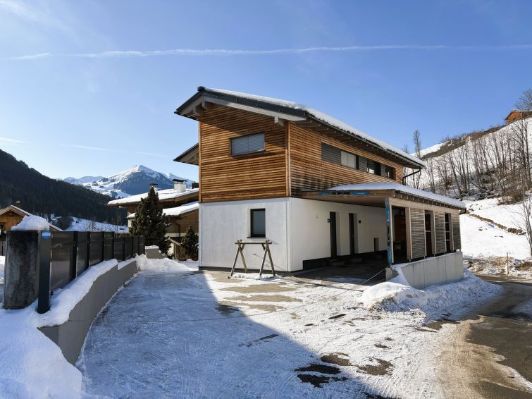 Pantera - Ski In Ski Out - Saalbach