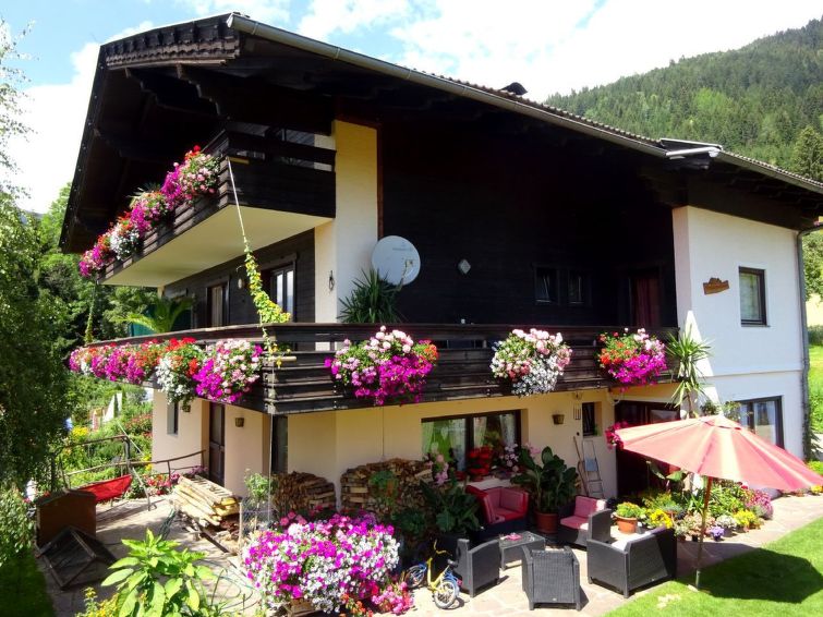 Cosmea In Millstatt - Spittal an der Drau