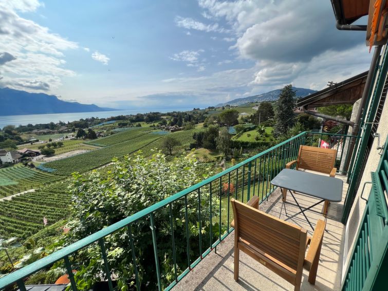 Vigneronne, App. Lac - Vevey