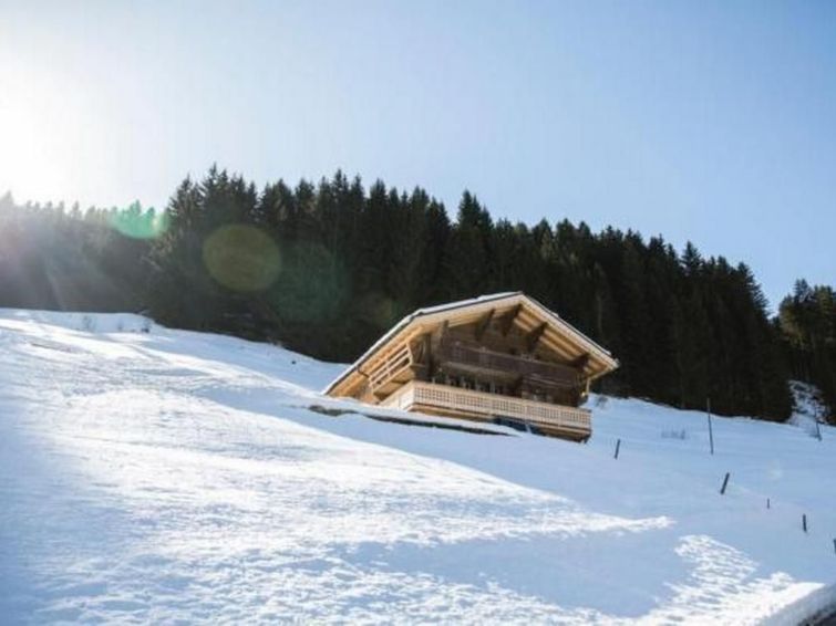 Authentisches Schweizer Alpenchalet Aus Dem 18. - Kanton Waadt