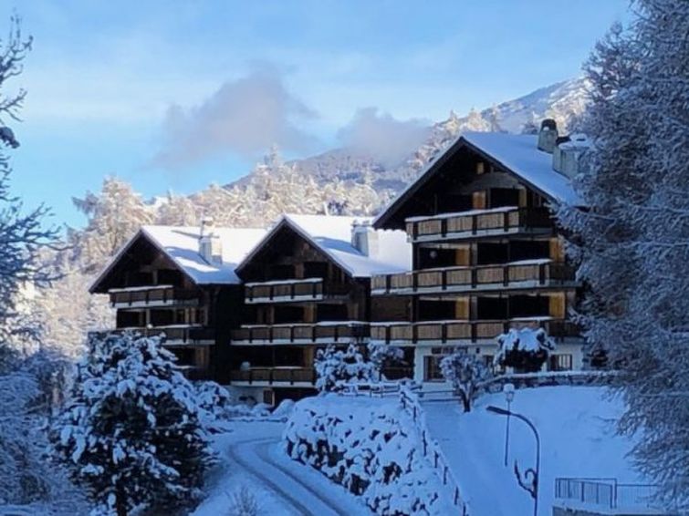Les Mayens De L'ours - 4 Vallées - Sion
