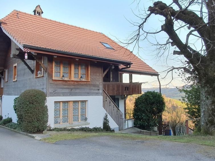 In Einem Heimeligen Berner-stöckli - Switzerland
