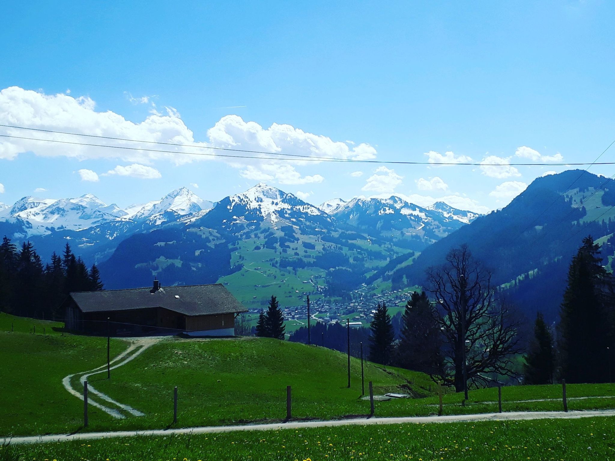 Mit Bergpanorama - Zweisimmen