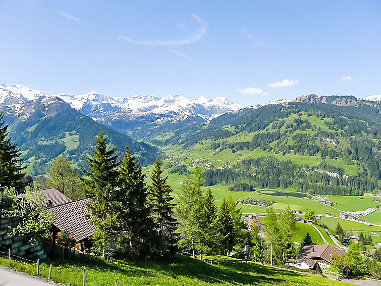 Lenk Ski Holidays | Skiing in Lenk