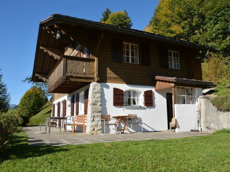 La Ruche, Chalet Appartement/fewo, Dusche Oder Bad, Wc 9-bettwohnung - Saanen