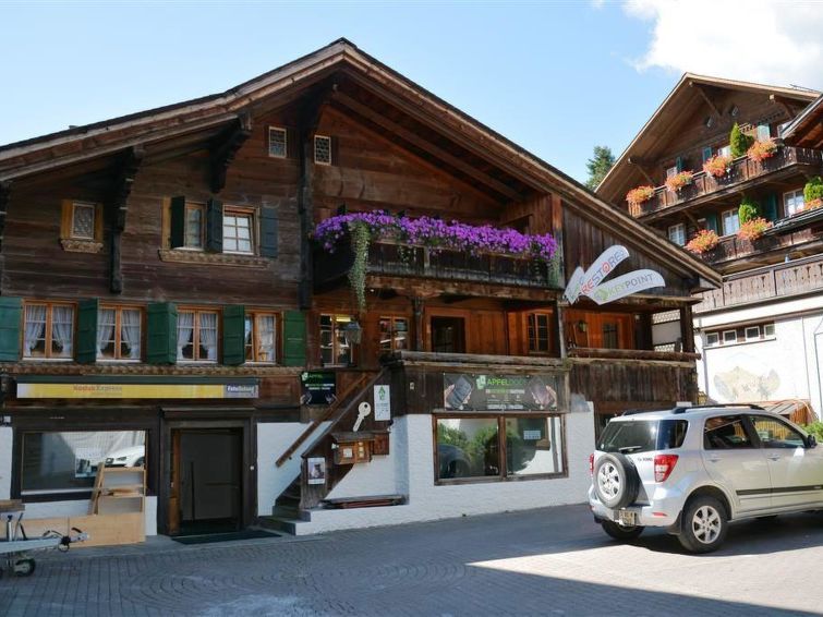 Le Vieux Chalet Appartement/fewo, Dusche Oder Bad, Wc 4-bettwohnung - Gstaad