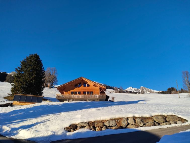 Boimenzüün 2 Bett Wohnung - Grindelwald