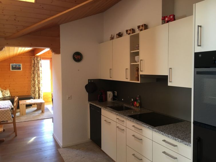 Chäs-gruebi Wohnung Hase, 3. Stock - Wengen, Switzerland