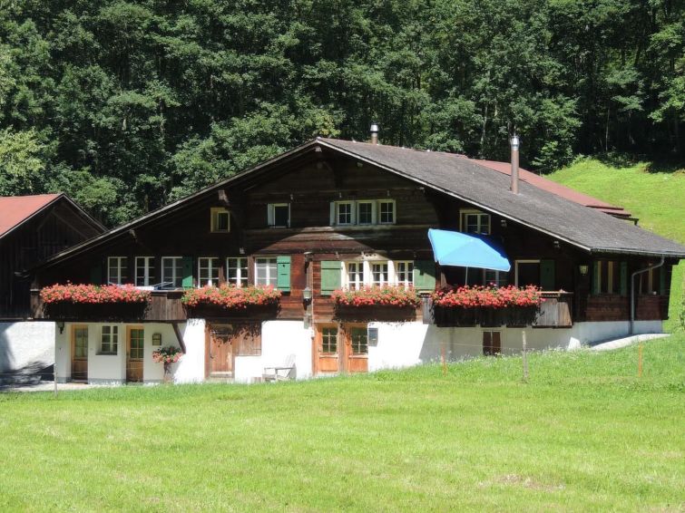 Lengwaldwohnung 285 - Lauterbrunnen