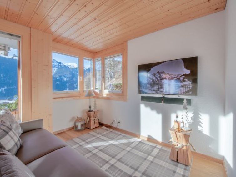 Chalet Sterndolde Apt. 1 - Lauterbrunnen