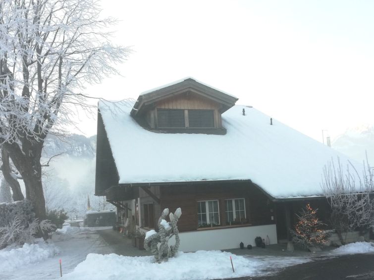 Steinideen - Meiringen