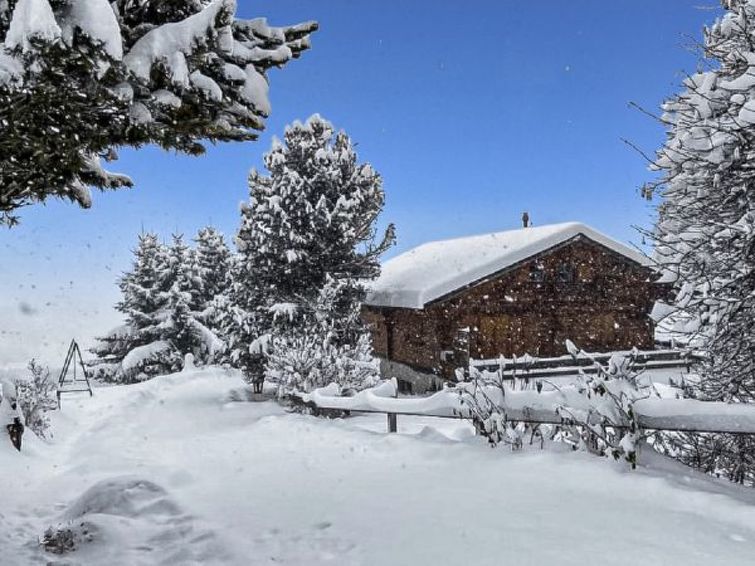 Chalet Albarose - Vercorin - Vercorin