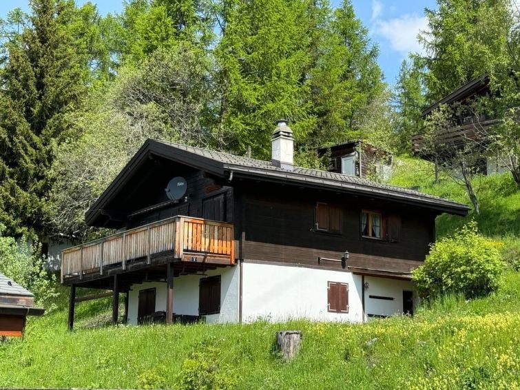 Chalet Glücksfall - Fiesch