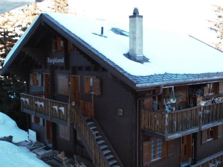 Bärgblüemli 1. Og Ost Studio, Dusche Oder Bad, Wc 1 1/2 Zimmerwohnung, 2-betten - Bettmeralp