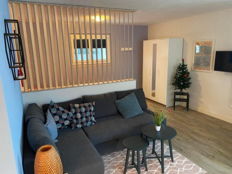 Spring Inn Studio - Meiringen