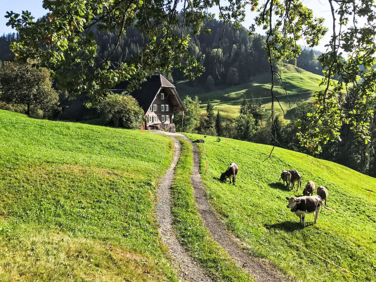Rüttimätteli - Switzerland