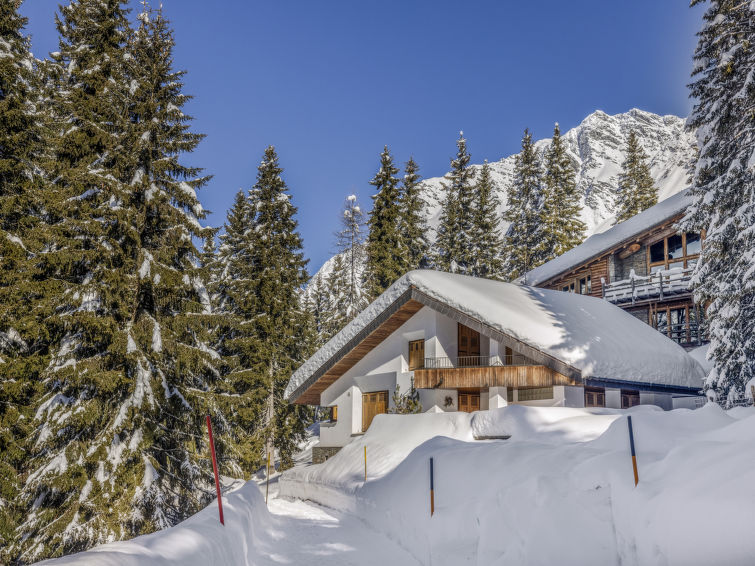 Larice - Alpen