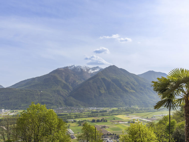 Rosalia - Bellinzona