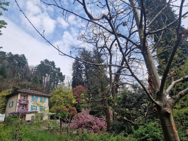 La Pineta - Locarno