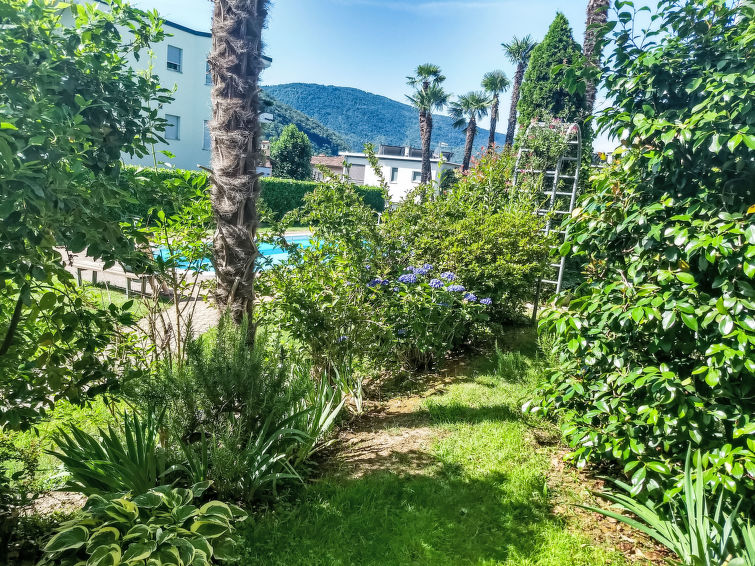 2 Zimmer Gartenwohnung Mit Pool - Lugano
