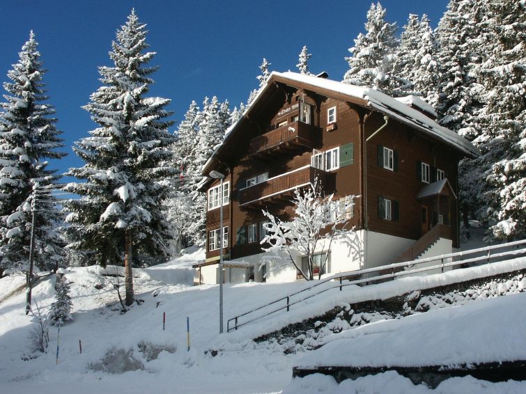 Chalet Willi-1.og Appartement/fewo, Dusche Und Bad, Wc, 9-bettwohnung - Davos