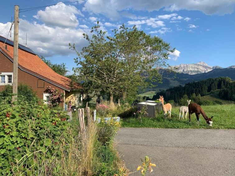 Tiererlebnishof Windegg - Appenzell
