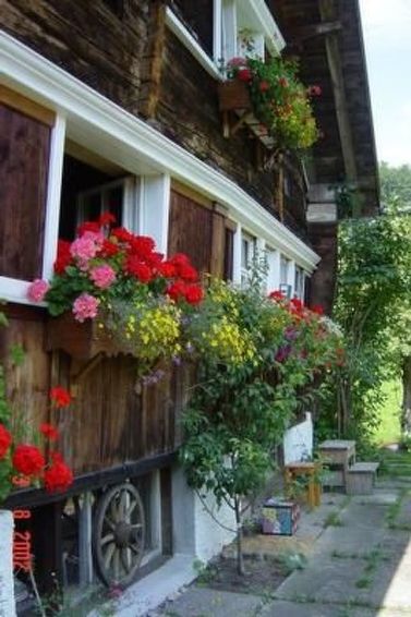 «Hüsli» - Bodensee