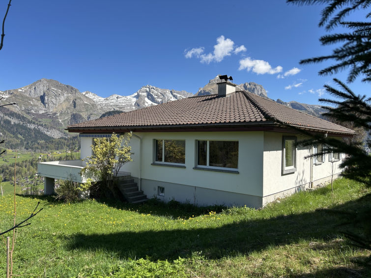 Jambo Pua - Switzerland