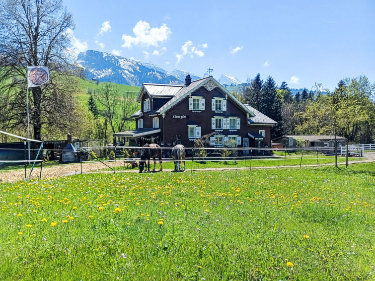 Studio Chic Mit Whirlpool - Wildhaus