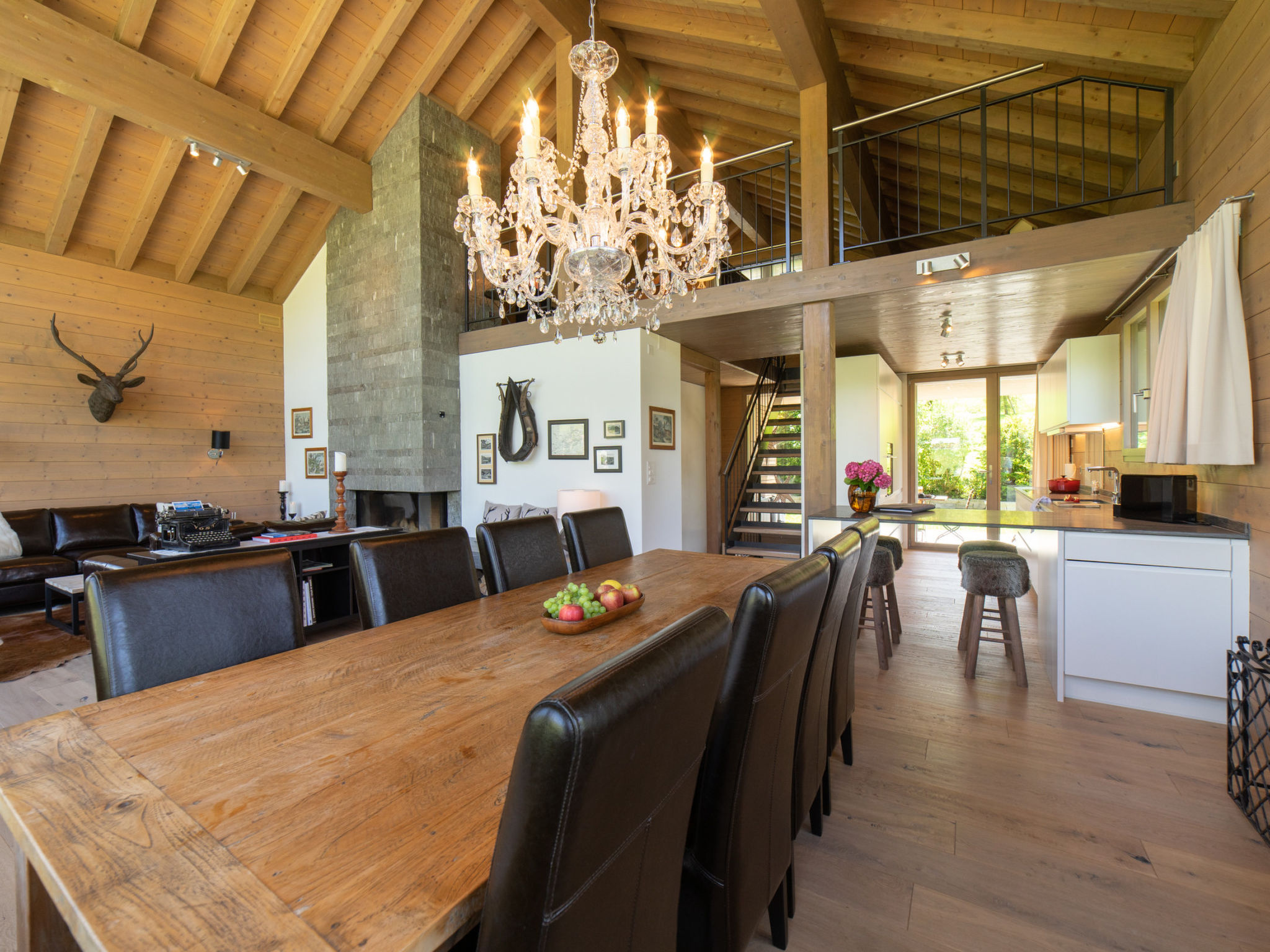 Primula - Black Forest