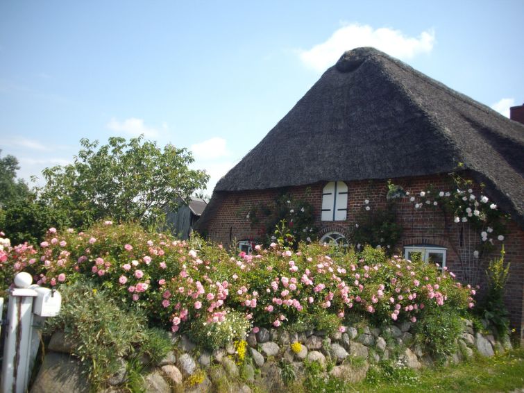 Fewo Meeresbrise - Amrum