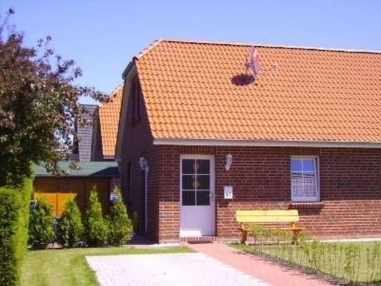 Seerobbe In Norden - Norddeich