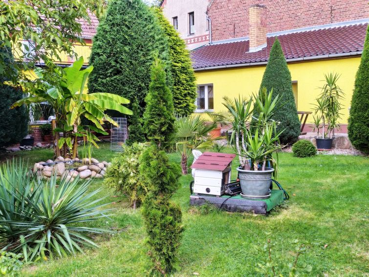 Gemütliche Wohnung Mit Terrasse - Bad Saarow