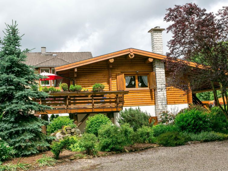 Tolles Appartement In Walkenried - Walkenried