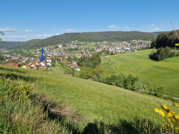Schwarzwald Idylle - Baiersbronn