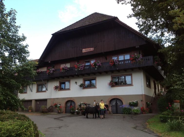 Wohnung In Unterharmersbach Mit Garten Und Grill - Steinach