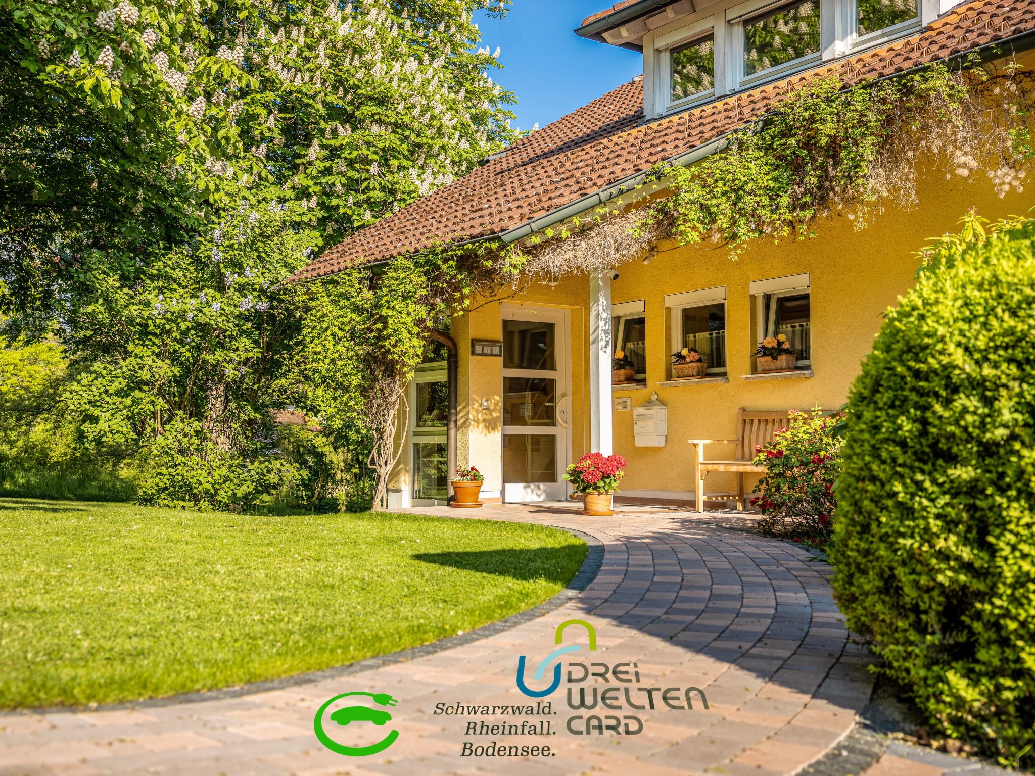 Ahorn Studio In Bad Dürrheim - Donaueschingen