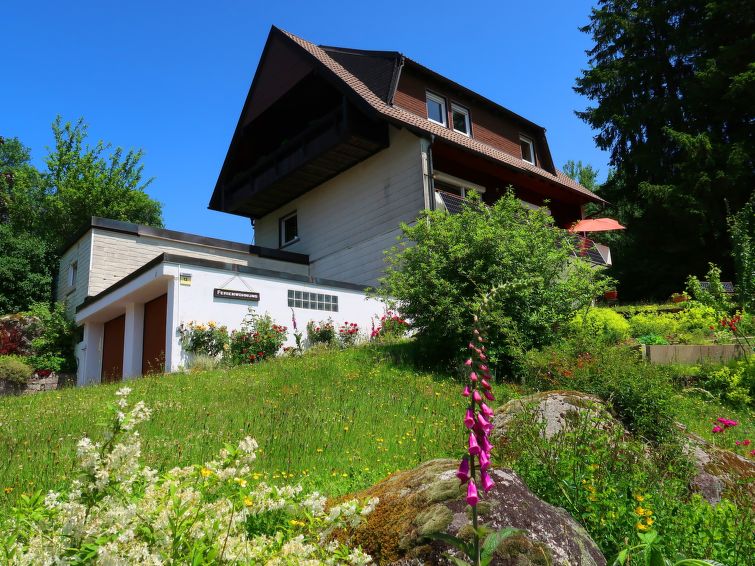 Blackforest Birdnest - Schonach im Schwarzwald