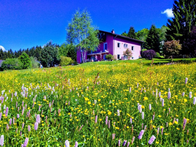 Mit Bergblick - Neureichenau