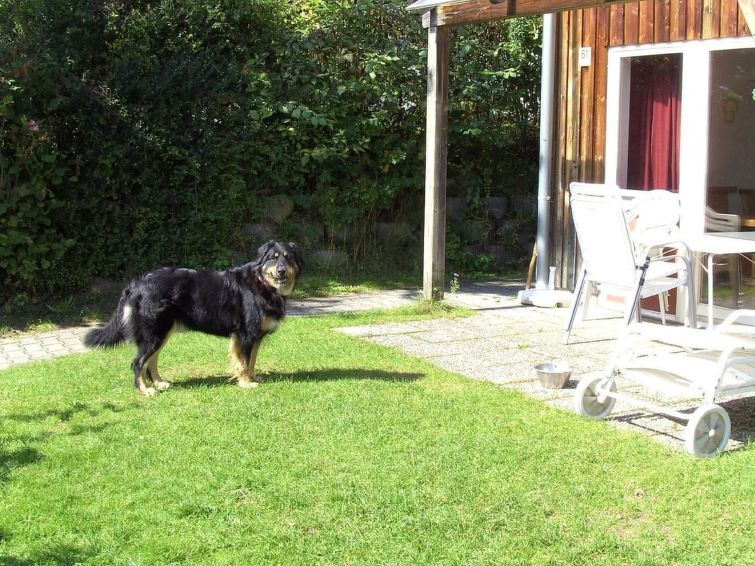 In Zandt Mit Garten, Terrasse Und Grill - Cham