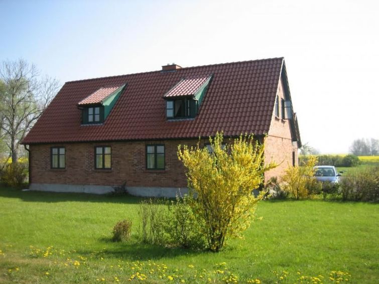 Möwe In Ummanz-lüßvitz - Ummanz