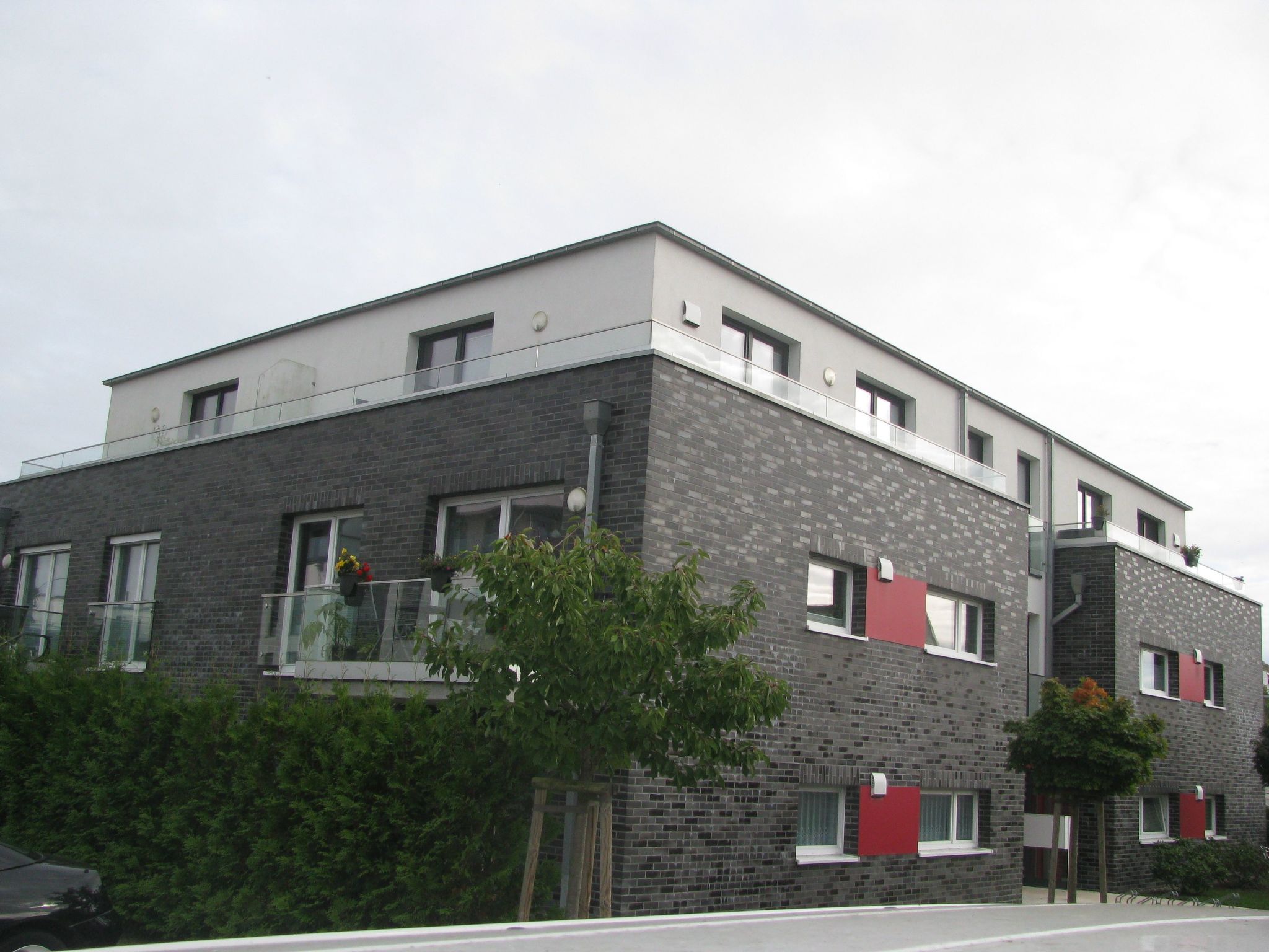 Troge In Greifswald - Greifswald