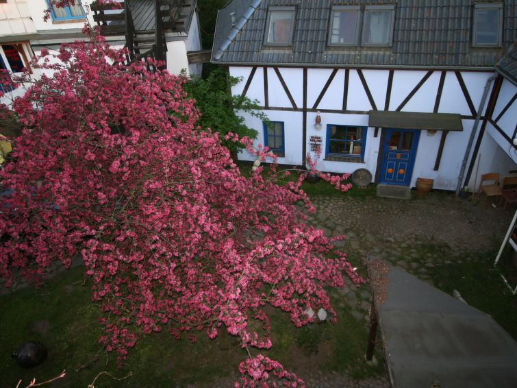 Wippsteert - Rostock