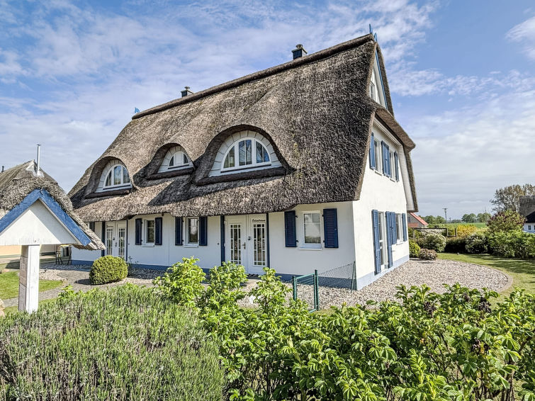Traumhafte Reetdach-doppelhaushälfte Mit Garten - Rerik