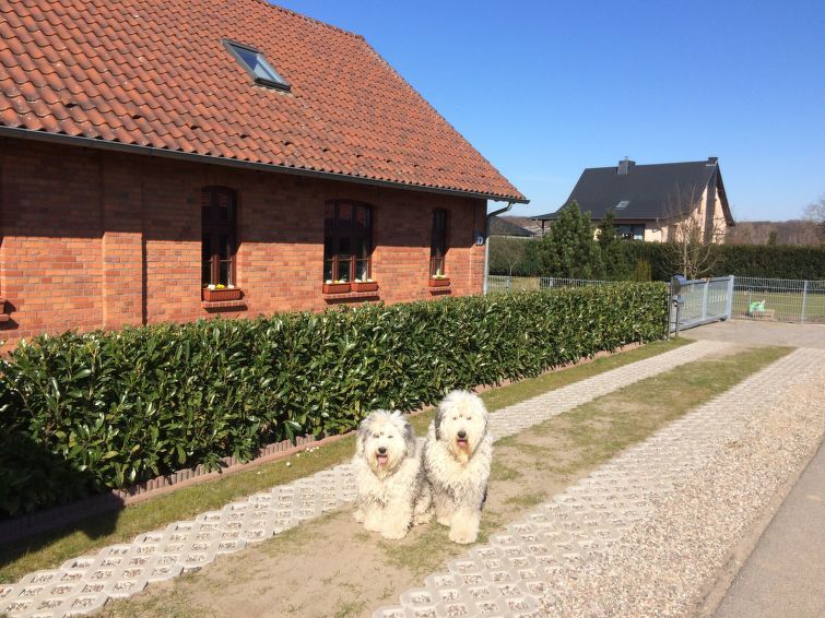 Gemütliches Ferienhaus In Godow Mit Terrasse - Waren