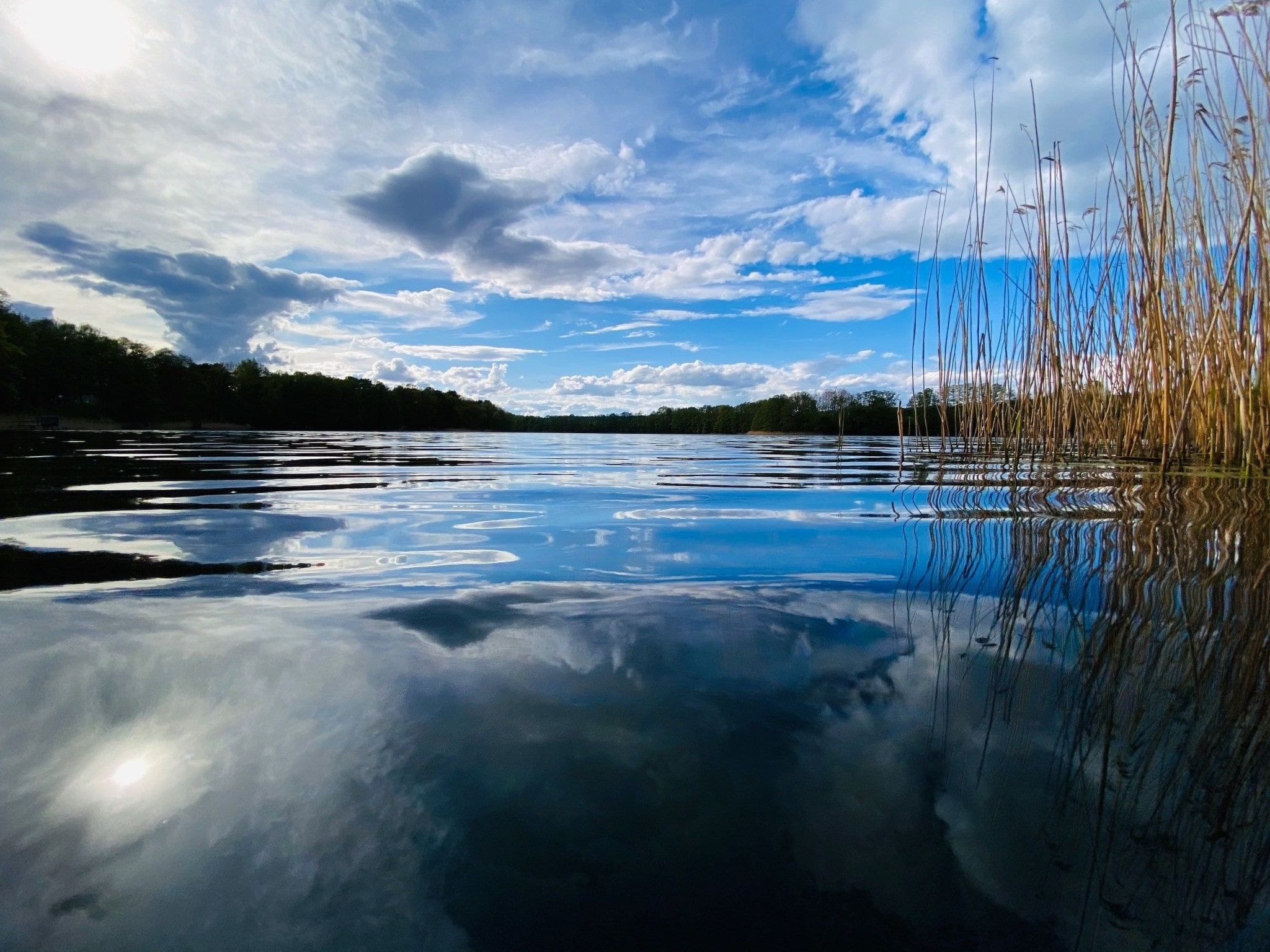 Bungalow Waldidyll - Schorfheide