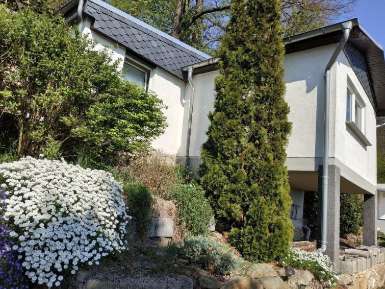 In Pirna Mit Schöner Terrasse - Pirna