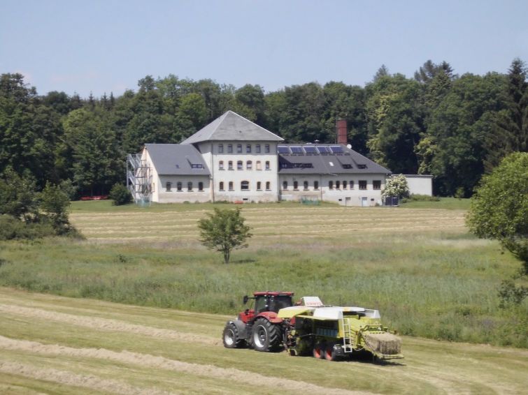 Wolfsgrund - Saxe