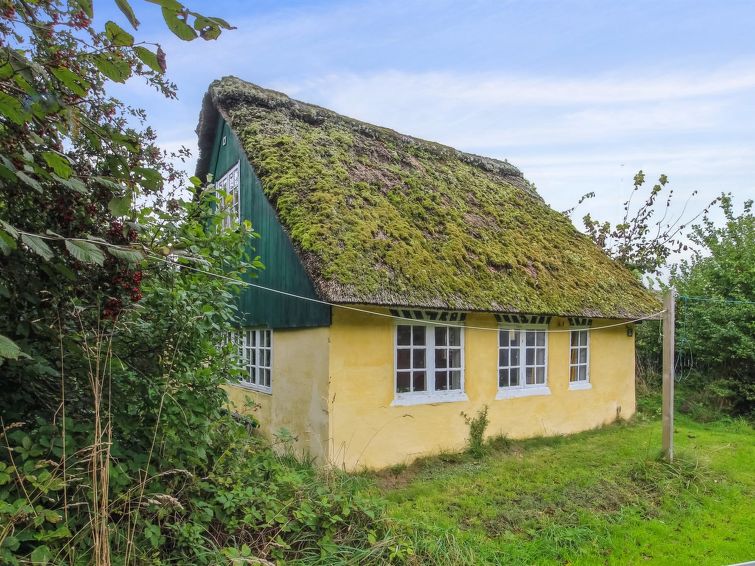 "Thorfrid" - 1km From The Sea - Ribe