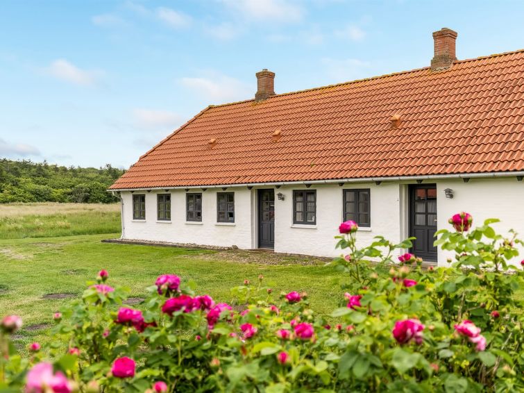 "Nette" - 15km From The Sea - Ribe